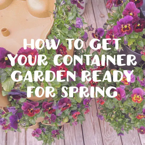 How To Get Your Container Garden Ready For Spring | GreenStalk Garden