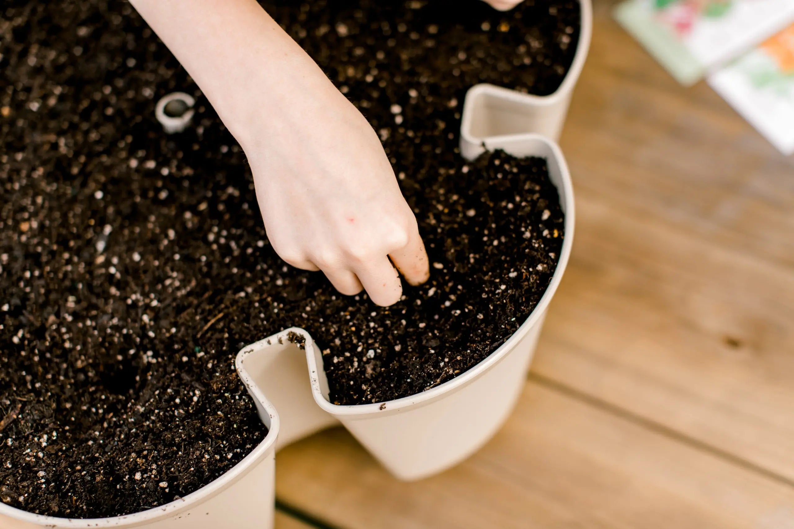 How to Choose the Right Soil for Containers | GreenStalk Garden