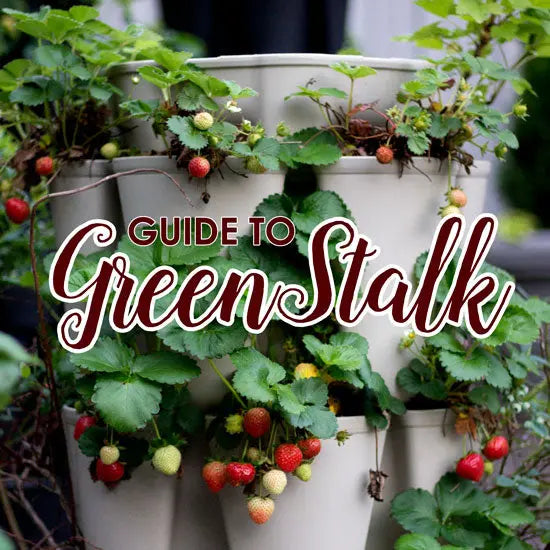 A Detailed How-to Guide to Growing in the GreenStalk Vertical Planter ...