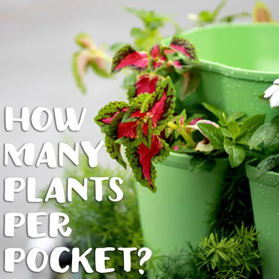 Guide to How Many Plants Per Pocket | GreenStalk Garden