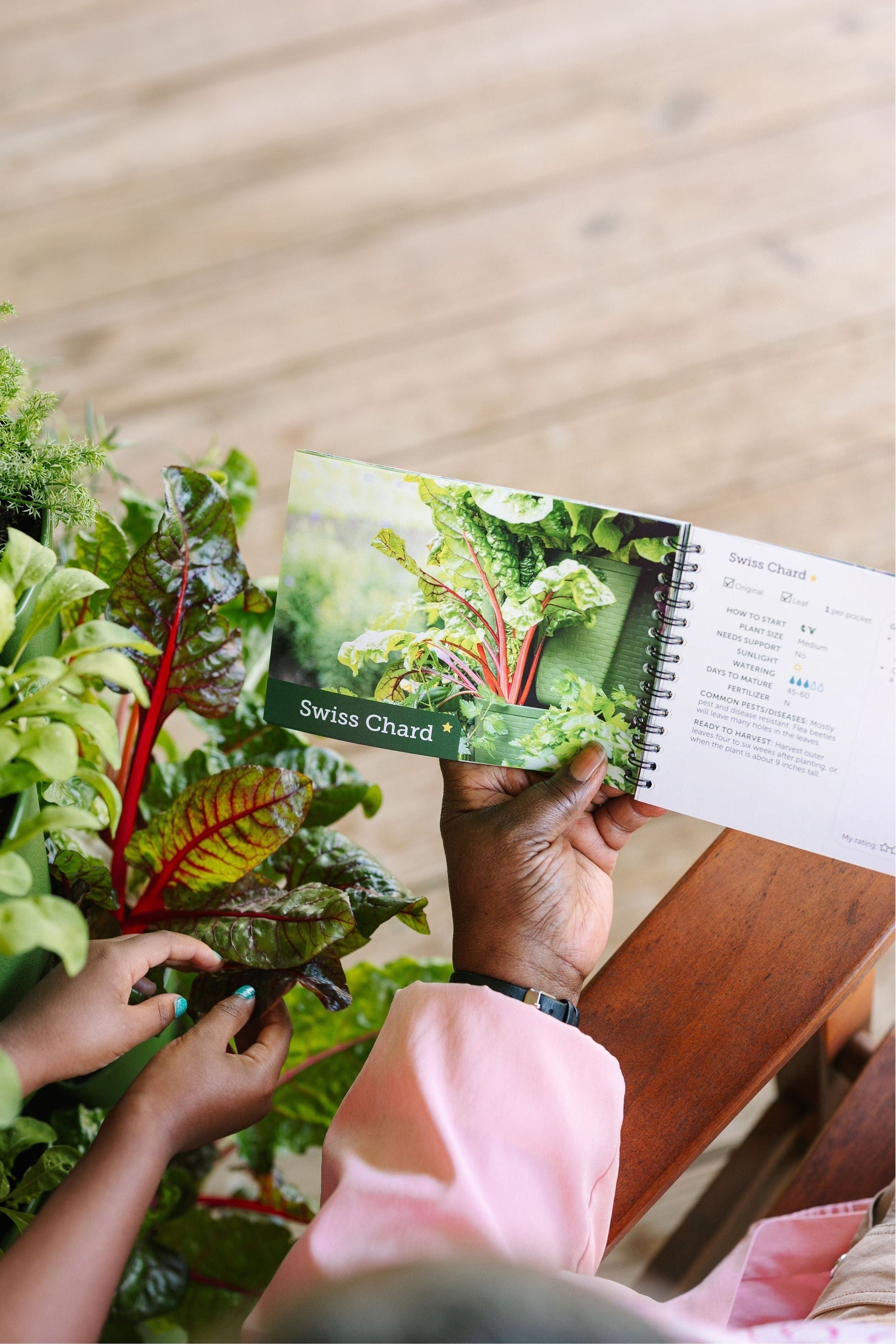 Edible Plant Guide | GreenStalk Garden