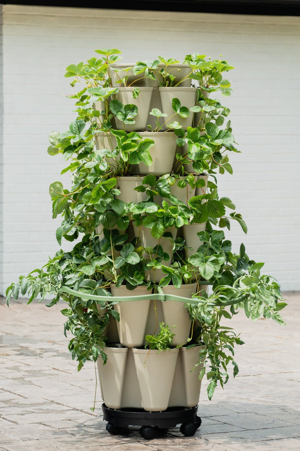 All Products | GreenStalk Garden