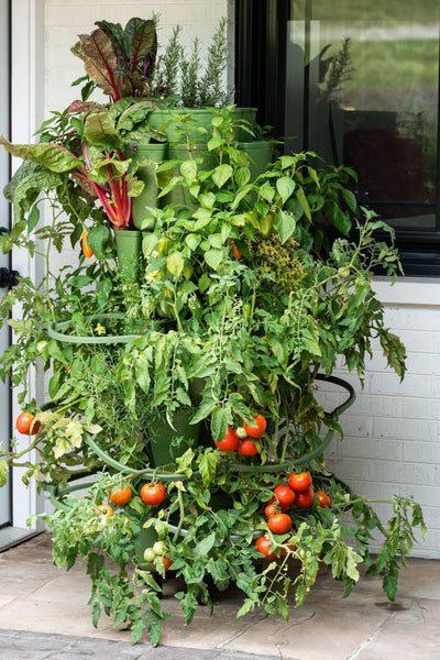 GreenStalk Plant Support | Set of 3 | GreenStalk Garden