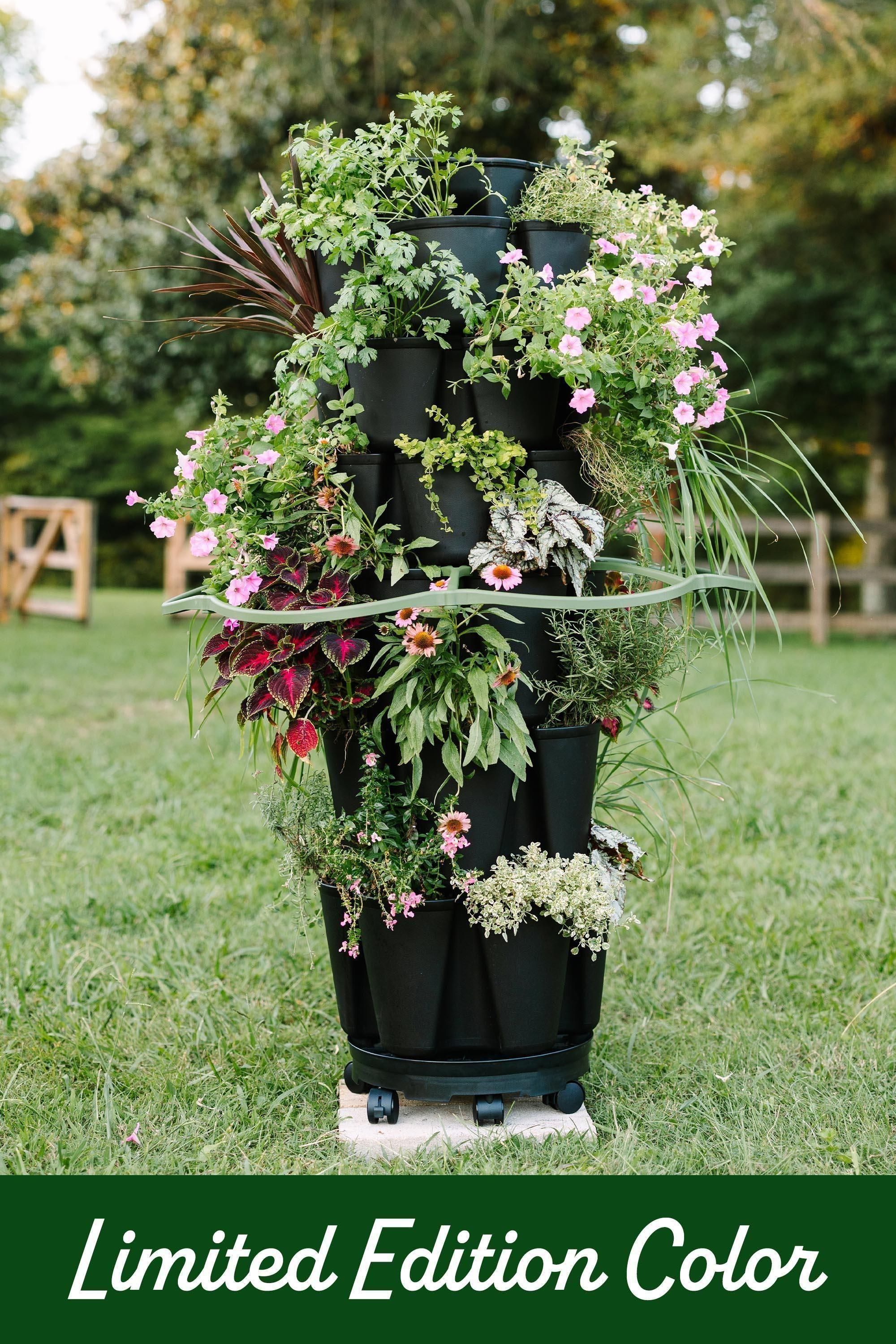 Shop | GreenStalk Vertical Planters | GreenStalk Garden