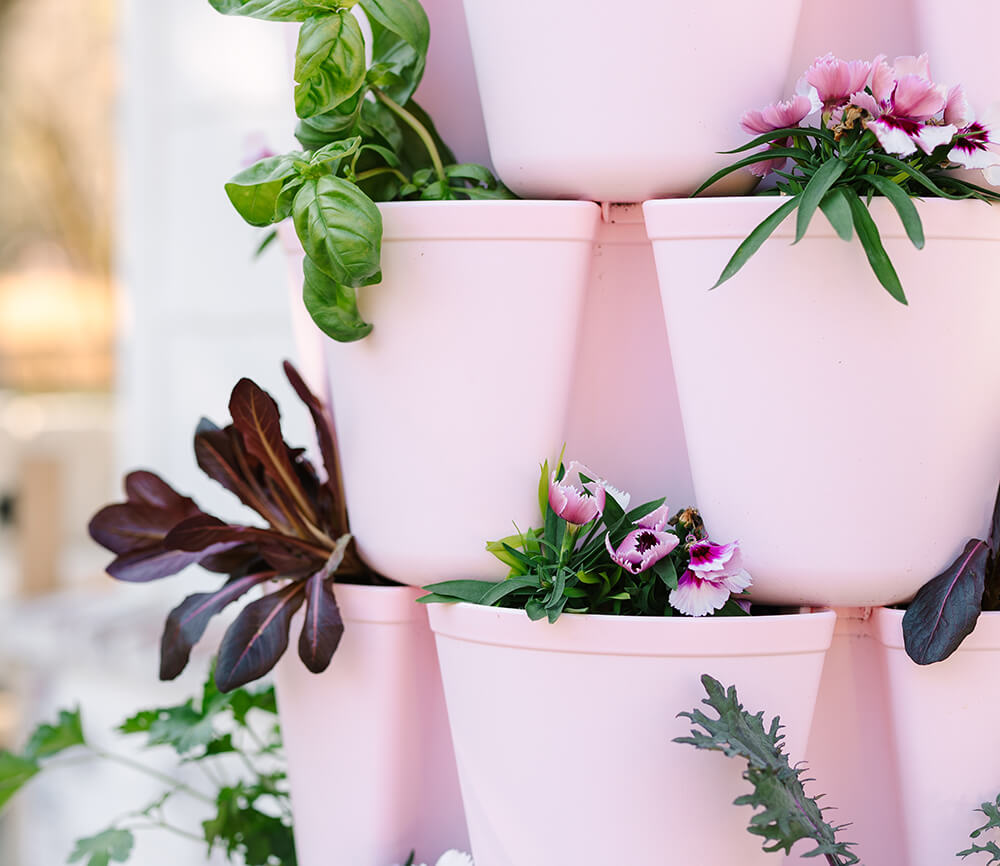 A Complete Guide to Creating a Vertical Strawberry Planter (Plus How to ...