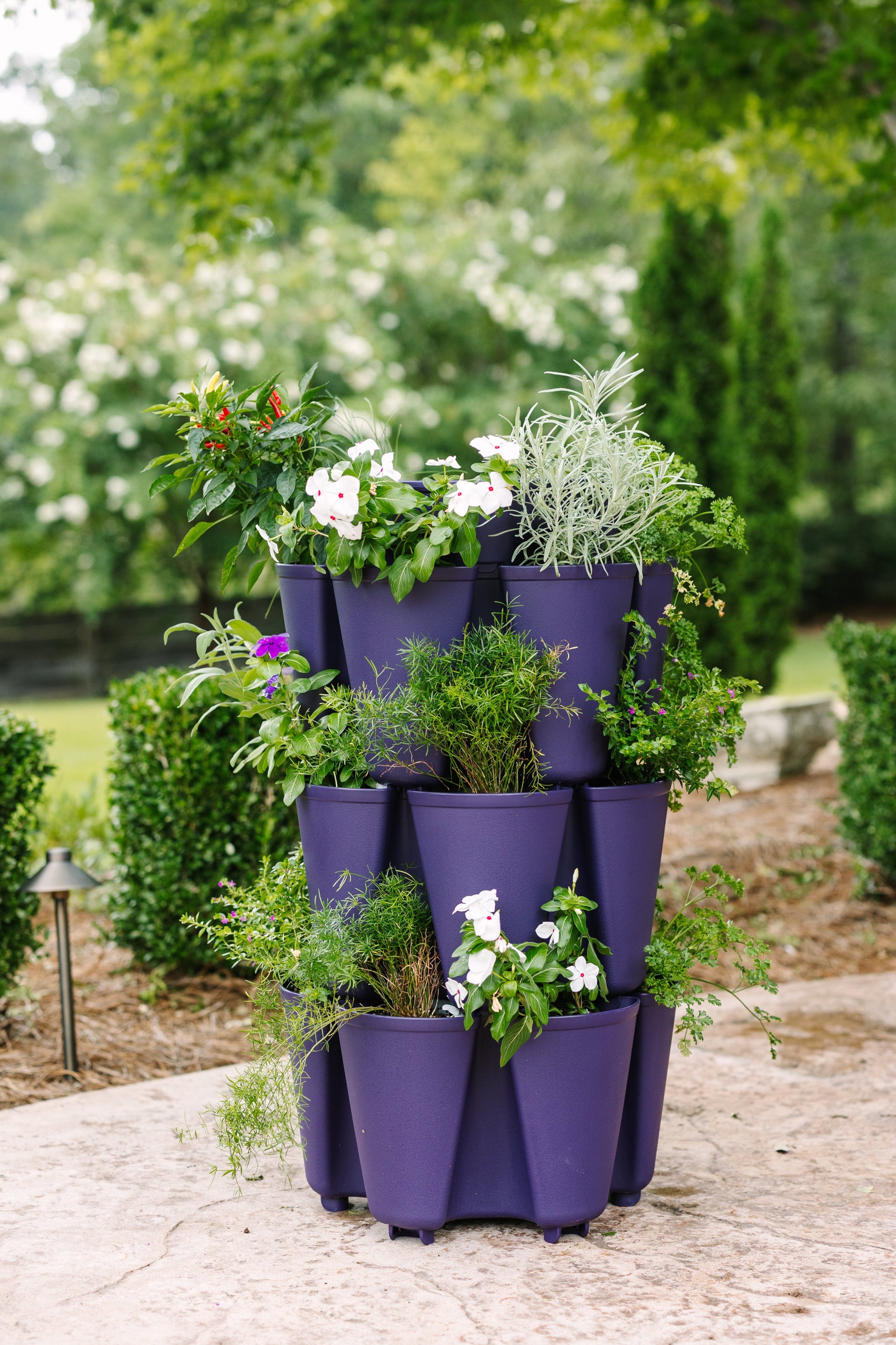 GreenStalk Vertical Planter