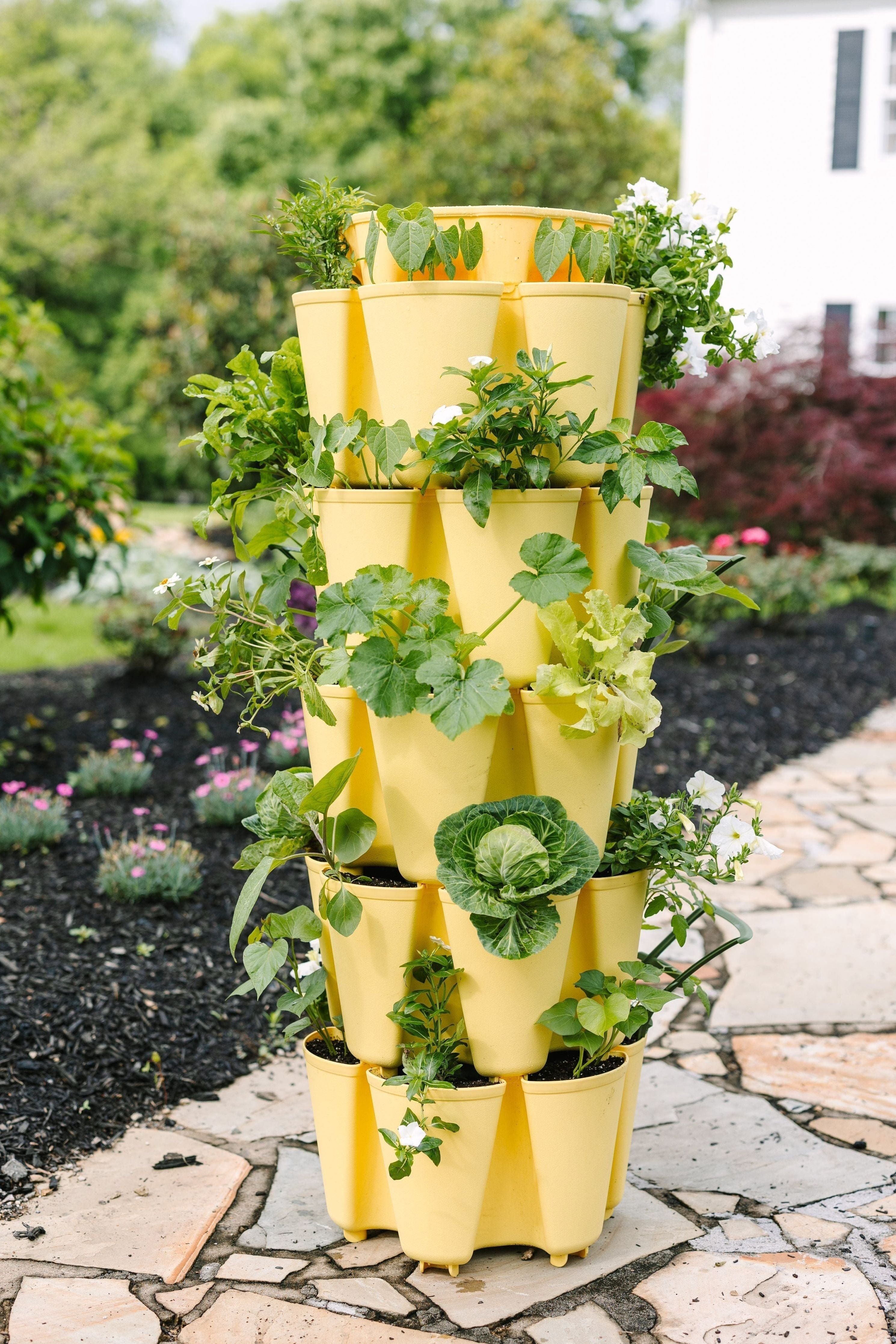 GreenStalk Vertical Planter