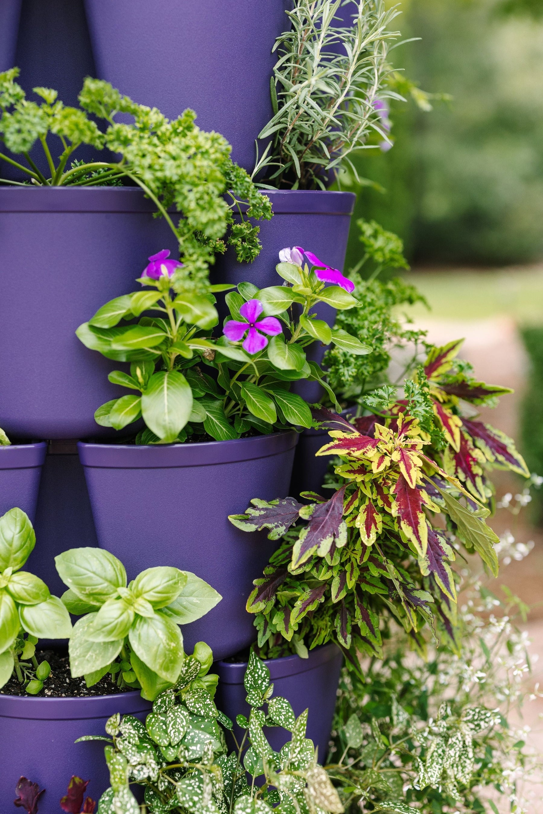 Vertical Planters | GreenStalk Garden