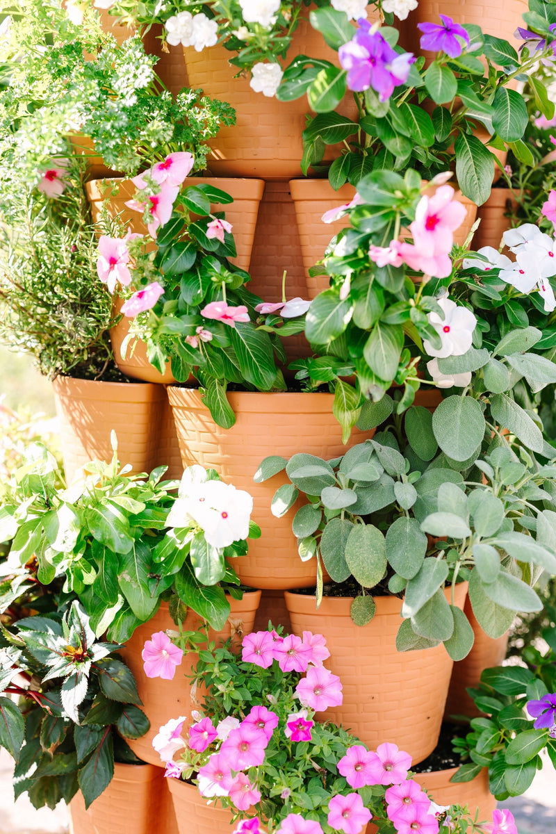 Cool Weather Planting Guide | Download | GreenStalk Garden
