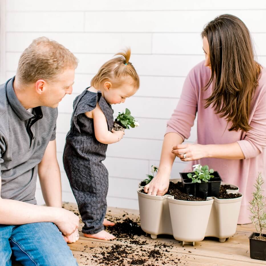 Guide to How Many Plants Per Pocket | GreenStalk Garden