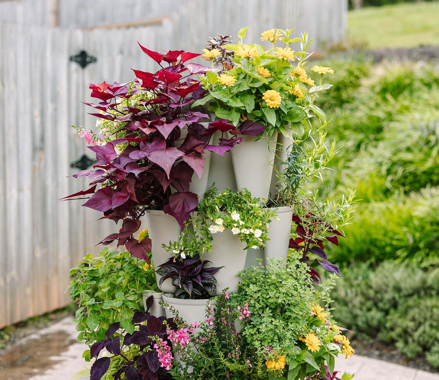 A Complete Guide to Creating a Vertical Strawberry Planter (Plus How to ...