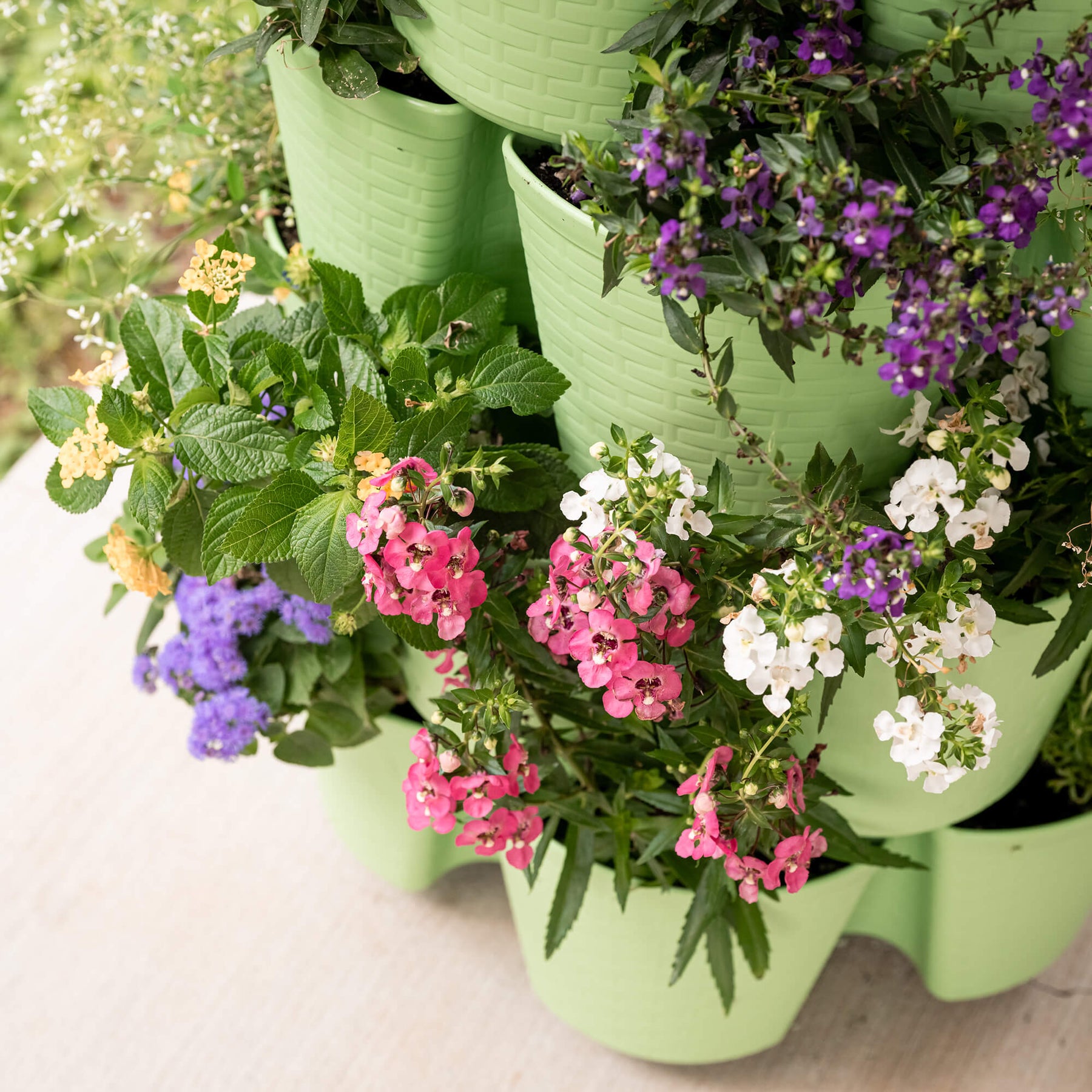 Shop | GreenStalk Vertical Planters | GreenStalk Garden