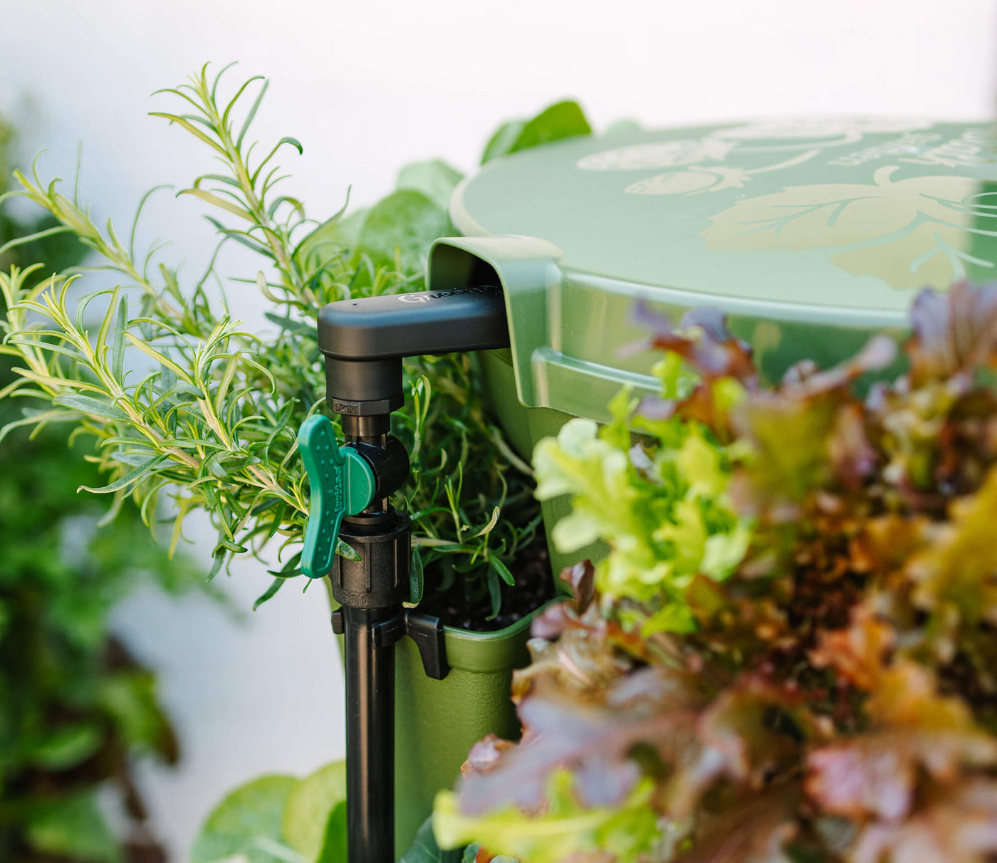 GreenStalk Plant Support | GreenStalk Garden